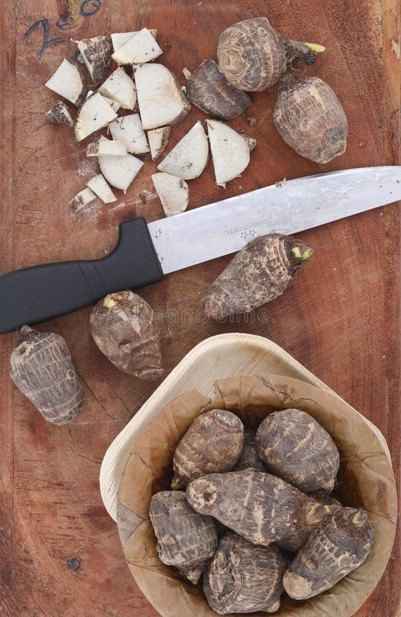 Fresh Raw Taro Vegetable stock photo. Image of detail - 105744030