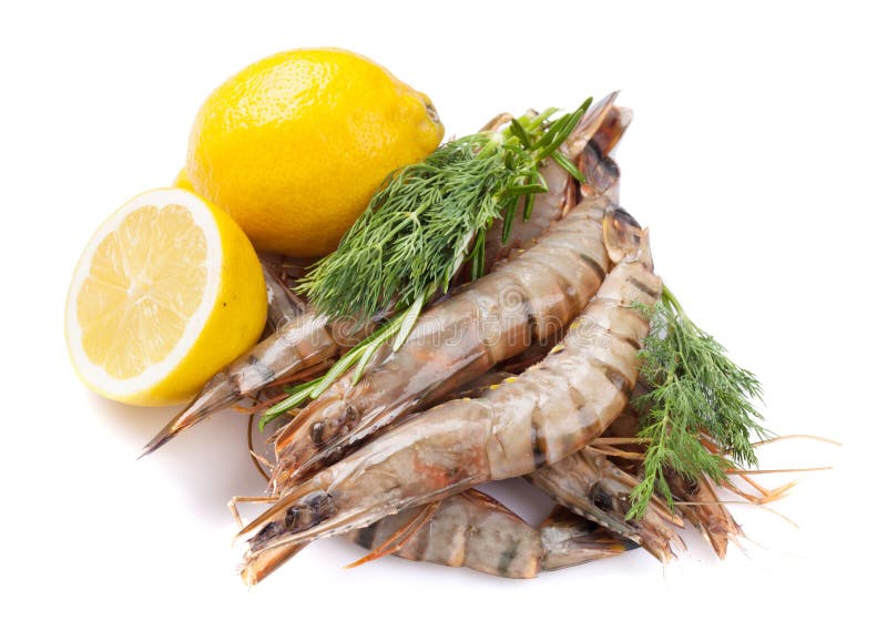 Fresh raw tiger prawns stock image. Image of prawn, shrimp - 53673433