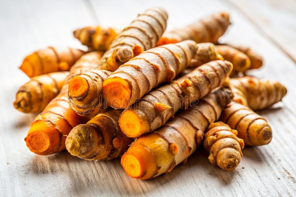 Fresh Raw Turmeric Root on White Surface Stock Illustration ...