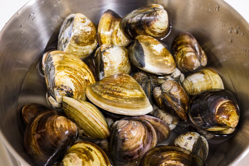 Fresh Raw Uncooked in Kitchen Stock Image - Image of asian, food: 324380017