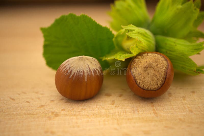 Fresh Raw Unshelled Hazelnut on Green Leave Stock Image - Image of ...