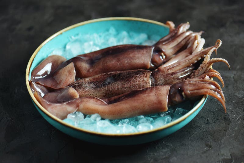 Fresh Raw Whole Squids on a Cupronickel Dish with Ice. Healthy Food ...