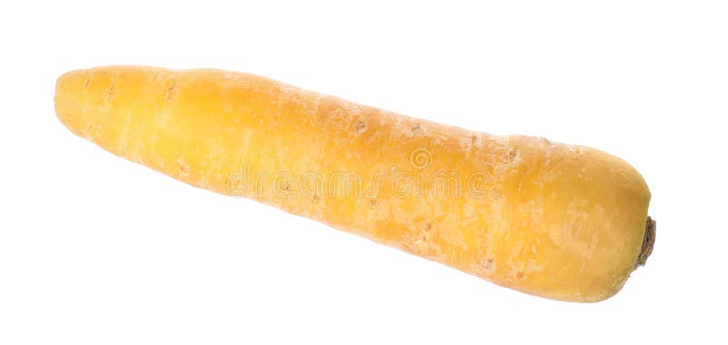 Fresh Raw Yellow Carrot Isolated Stock Photo - Image of nutrient ...