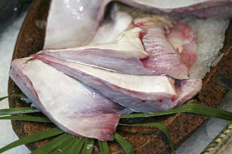 Fresh Ray at Fish Stall stock image. Image of animal - 195874871