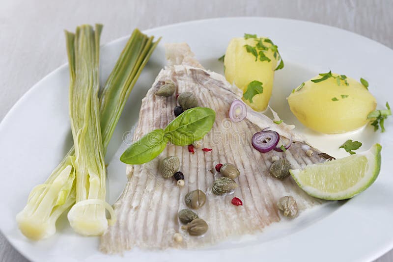 Fresh ray wings stock photo. Image of skate, healthy - 40019740