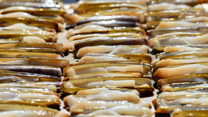 Fresh razor shells stock image. Image of grilled, mediterranean - 34985657