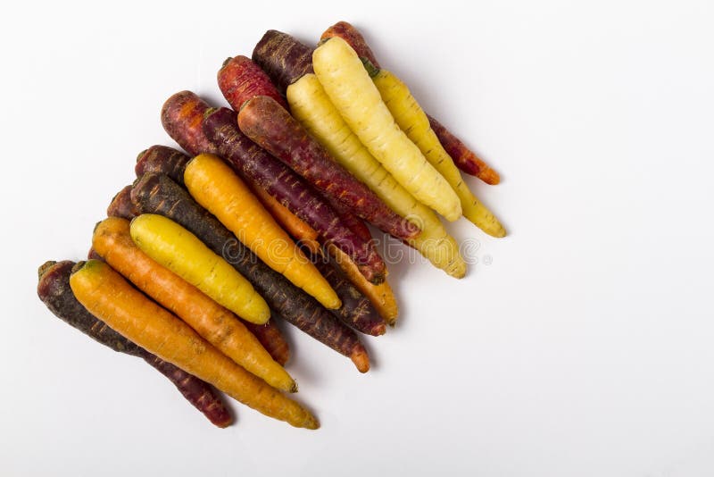 Fresh Multi-colored Carrots Stock Image - Image of white, colors: 113337171