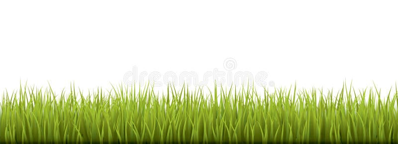 Fresh Realistic Green Grass - Vector Illustration Stock Vector ...