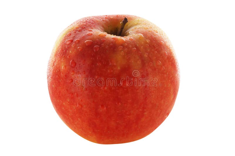 Fresh apple stock image. Image of apple, juicy, nutritious - 2602871