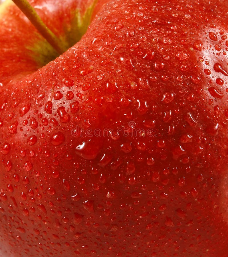 Fresh red apple stock image. Image of fresh, ecology - 25067299