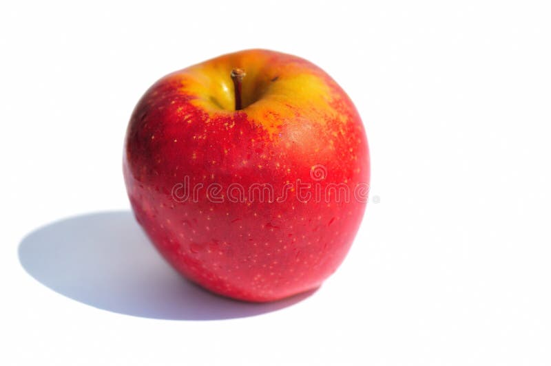 Fresh Red Apple stock photo. Image of garden, fresh, organic - 5133658