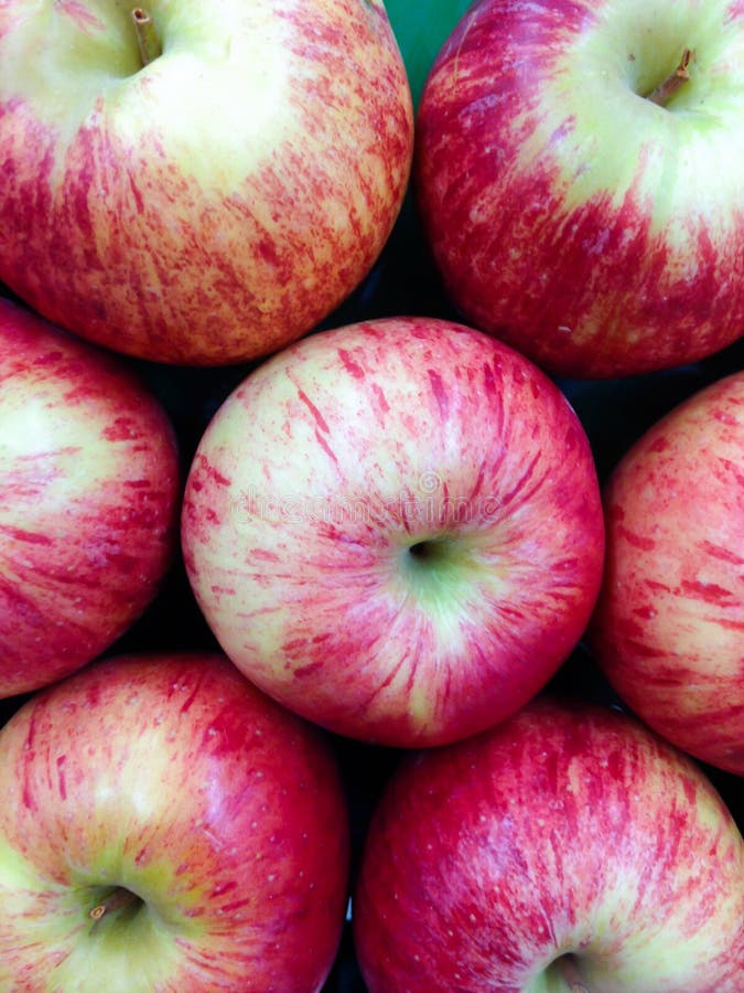 Fresh red apple stock image. Image of dark, white, healthy - 52367721