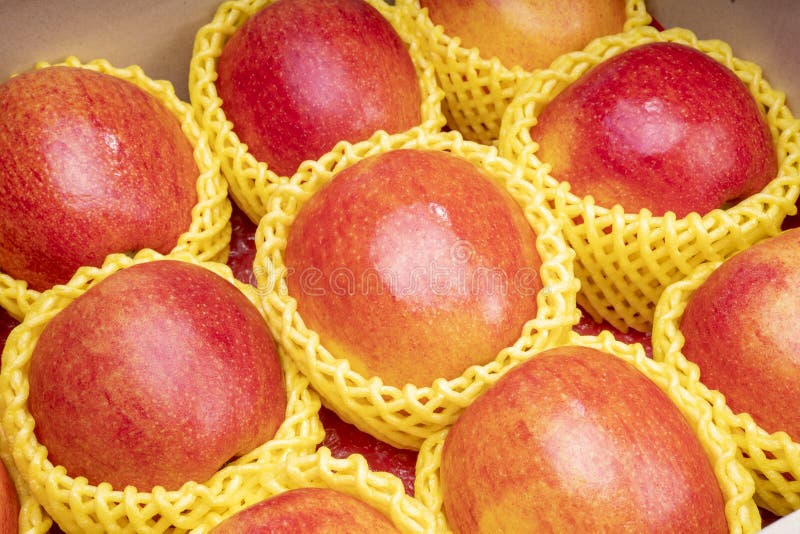 Fresh Red Apple in Packaging Ready To Sell, US. Red Envy Apple in the ...