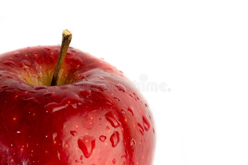Fresh red apple stock image. Image of agriculture, healthy - 95005115