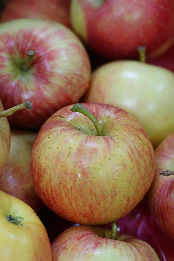 Fresh red apples stock image. Image of group, natural - 144777861