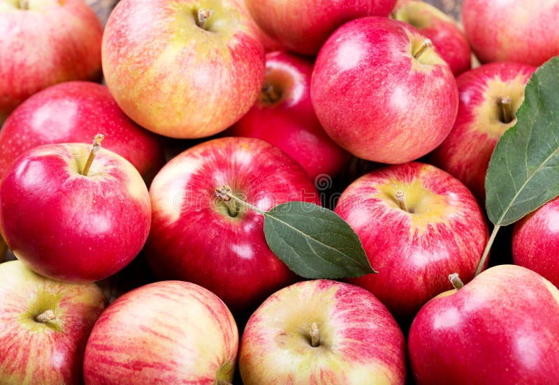 Fresh Red Apples with Leaves, Top View Stock Image - Image of ripe ...