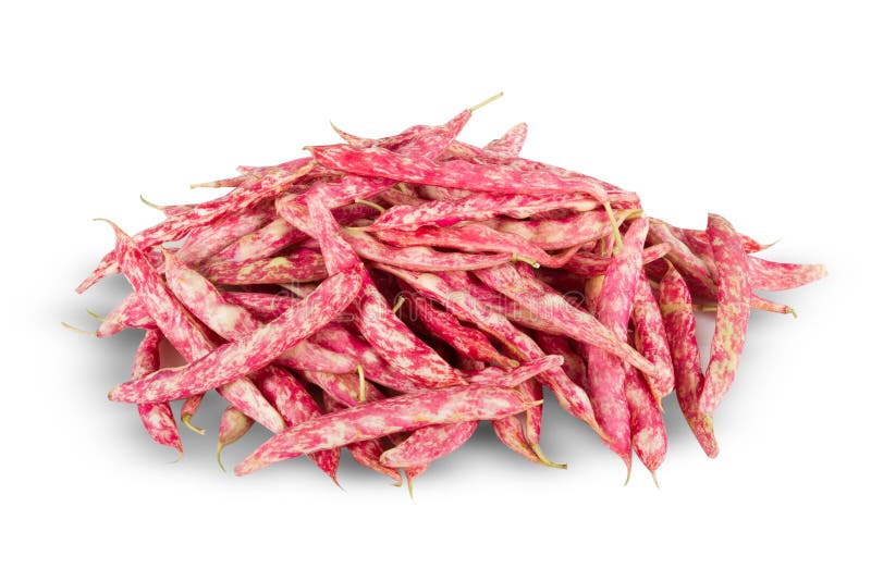 Fresh red beans stock image. Image of uncooked, nutritious - 36023451
