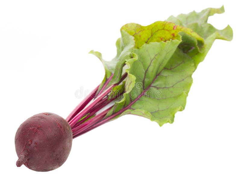 Fresh red beet stock photo. Image of antioxidant, nutritional - 69088124