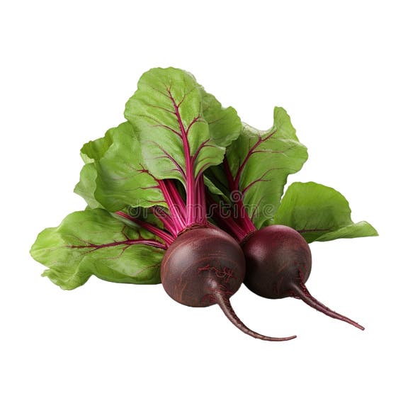 Fresh Red Beets on Transparent Background - Ai Generated Stock ...