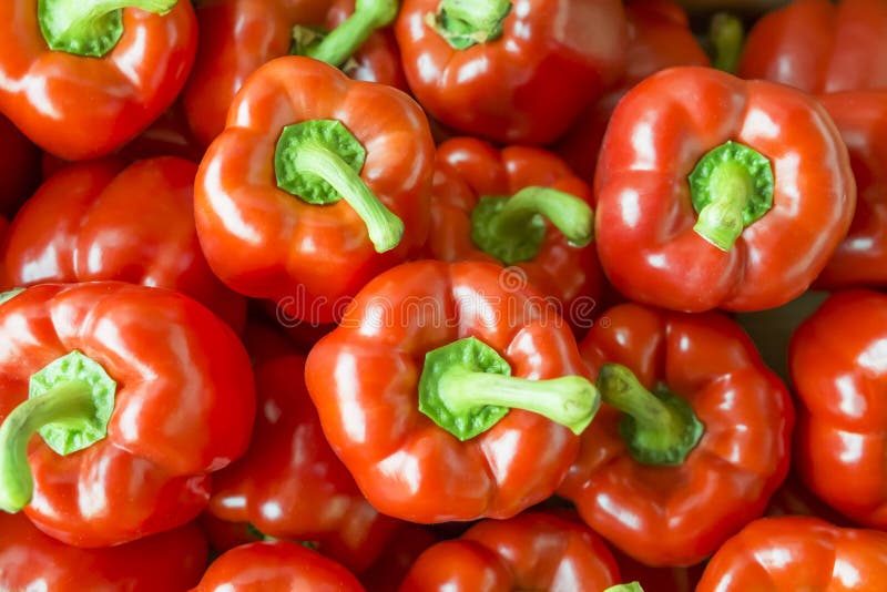 Fresh red bell pepper stock image. Image of healthy, natural - 42699583