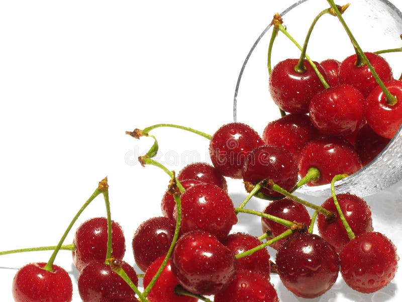 Fresh Red Berries of Cherry Stock Image - Image of medicine, sweet: 2726955