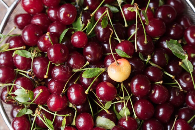 Fresh Red Berry Cherry with Leaves Background Stock Image - Image of ...