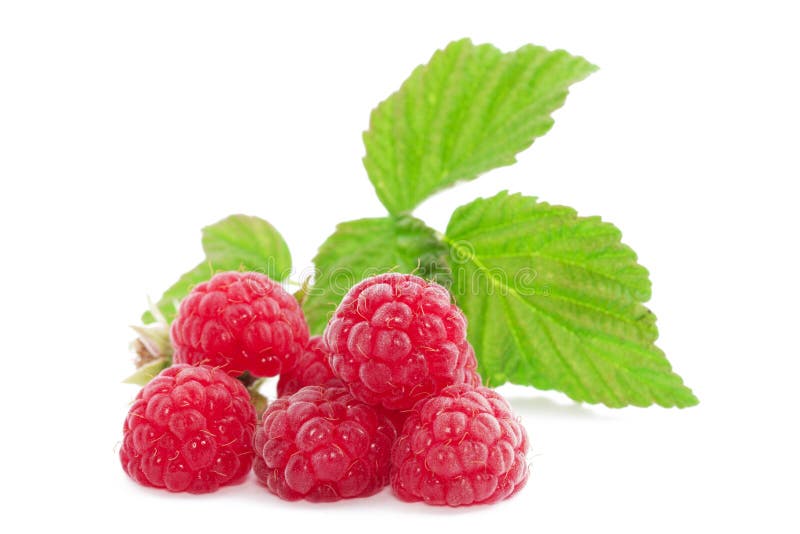 Fresh Red Berry with Leaves on White Background Stock Photo - Image of ...