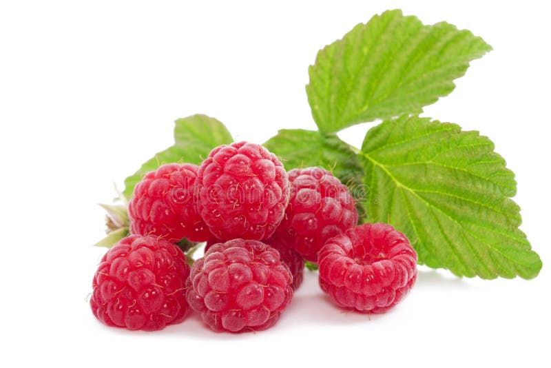 Fresh Red Berry with Leaves on White Background Stock Image - Image of ...