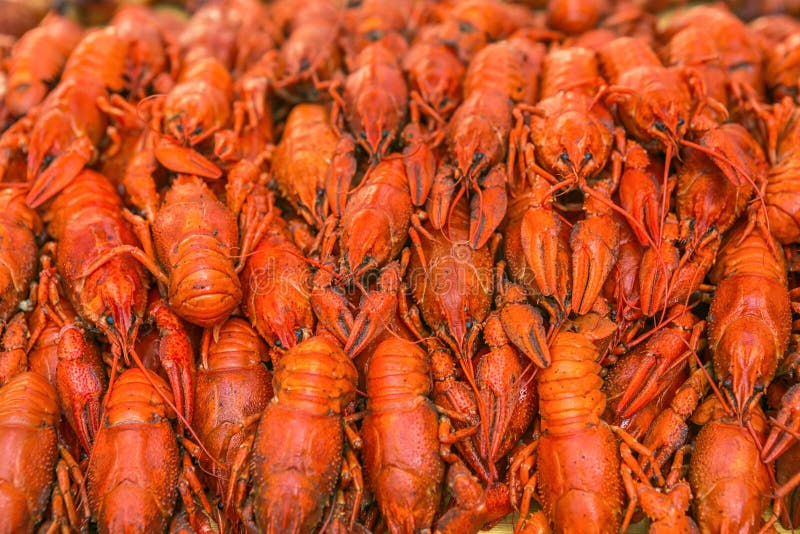 Fresh Red Boiled Crawfish. Cooked Crayfish with Dill. Beer Snack ...