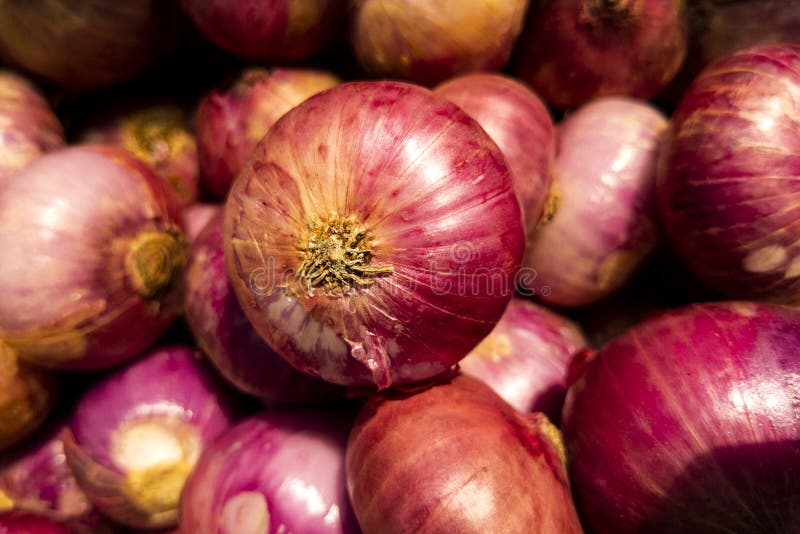 Fresh Red Bulb Onions Group Isolated on Basket Stock Photo - Image of ...