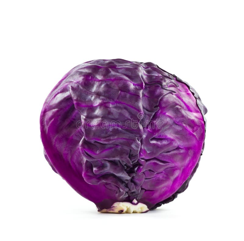 Fresh red cabbage stock image. Image of leafs, organic - 27567165