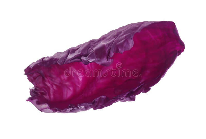 Fresh Red Cabbage Leaf Isolated on White Stock Photo - Image of recipe ...