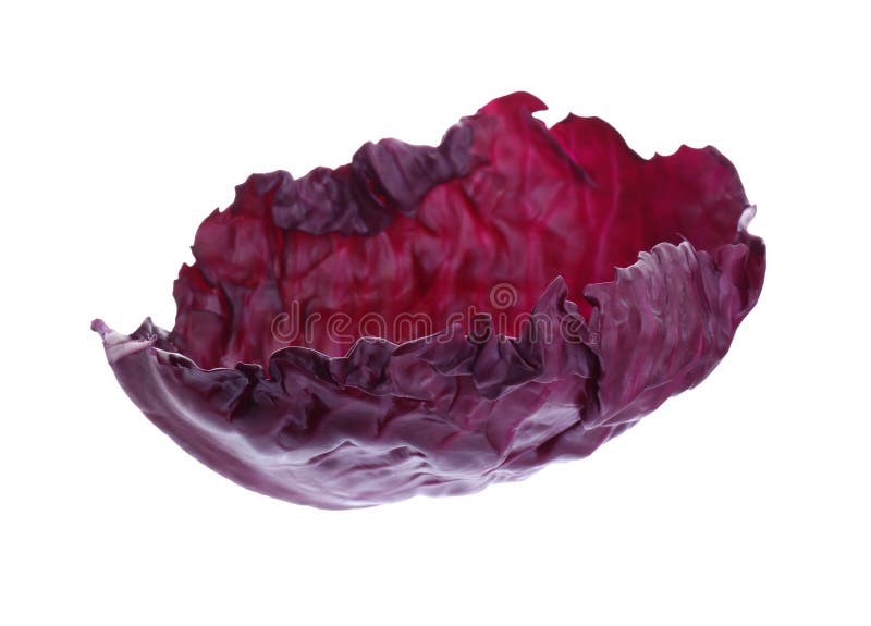 Fresh Red Cabbage Leaf Isolated on White Stock Photo - Image of natural ...