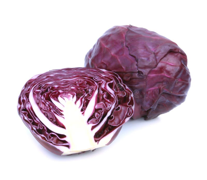 Red Cabbage 2 stock photo. Image of slice, vegetable, purple - 82768