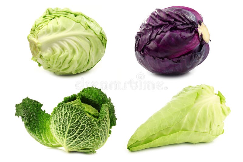 Fresh Red Cabbage, White Cabbage, Green Cabbage and a Pointed Cabbage ...