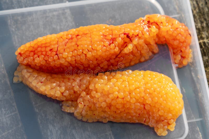 Fresh Red Caviar from Fish that Have Been Just Caught Stock Image ...