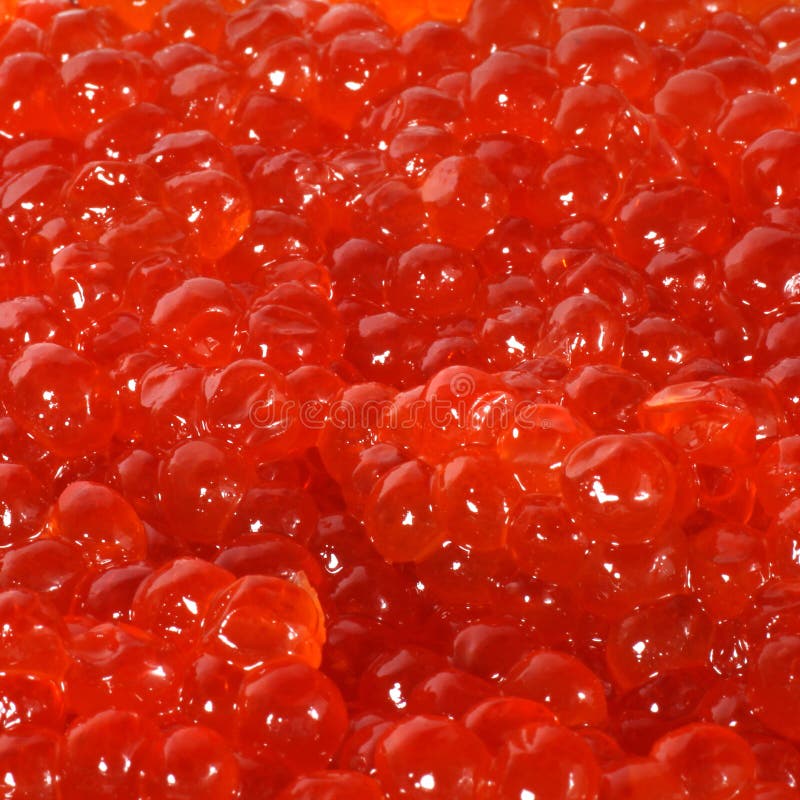 Fresh red caviar stock image. Image of culture, healthy - 35430095