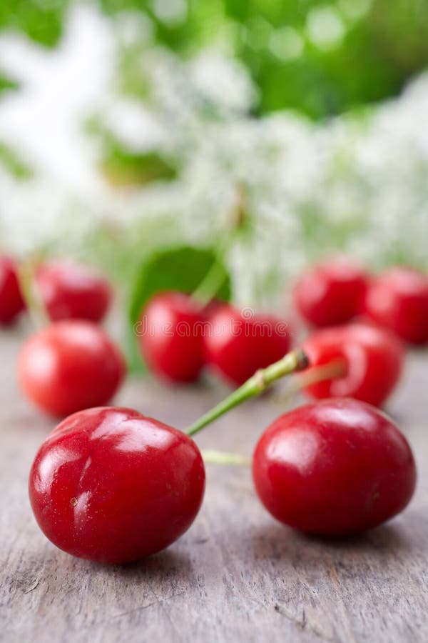 Fresh red cherries stock image. Image of cherry, food - 25294109