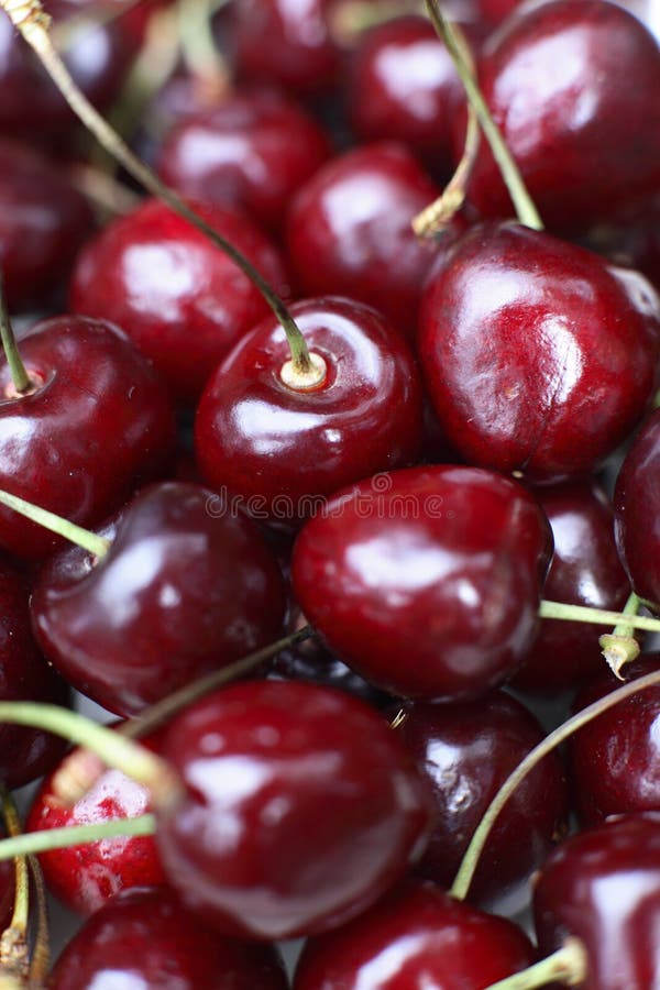 Cherries stock image. Image of summery, food, delicious - 15150377