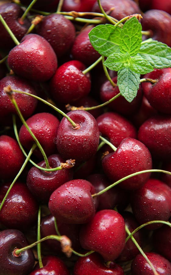 Fresh red cherries fruit stock image. Image of healthy - 255132707