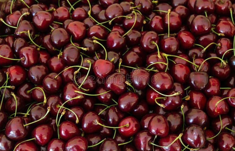 Fresh Red Cherries. Texture Cherries Fruits Close Up Stock Image ...