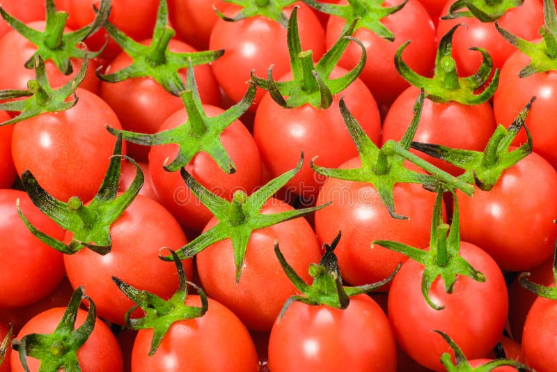 Fresh red cherry tomatoes stock image. Image of studio - 51775641