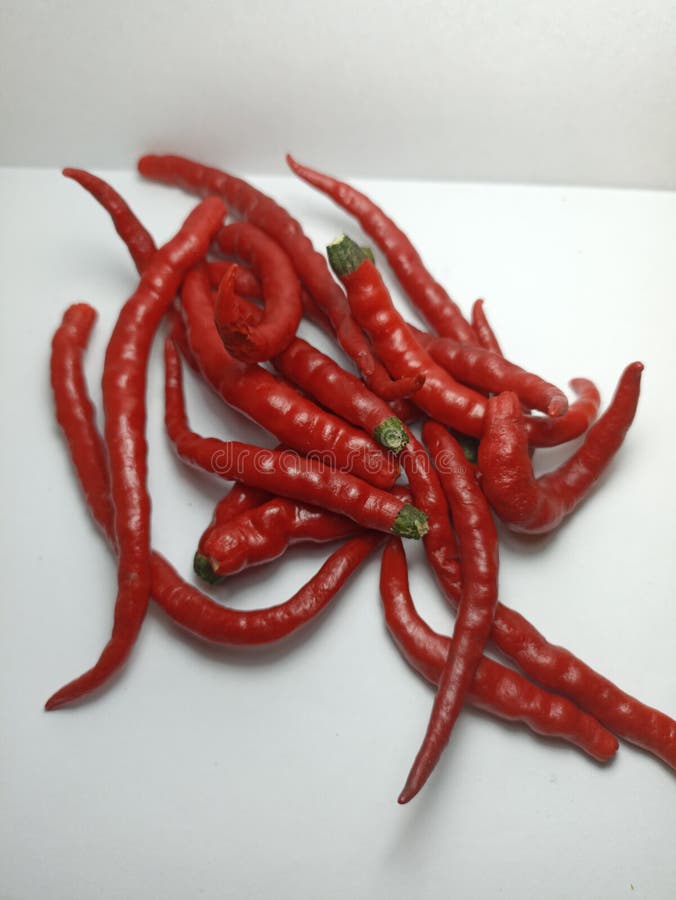 Fresh Red Chili, Very Hot stock photo. Image of concept - 242672246