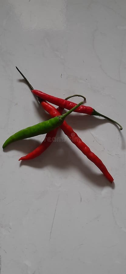 Fresh Red Chilies are Processed for Chili Sauce Stock Image - Image of ...