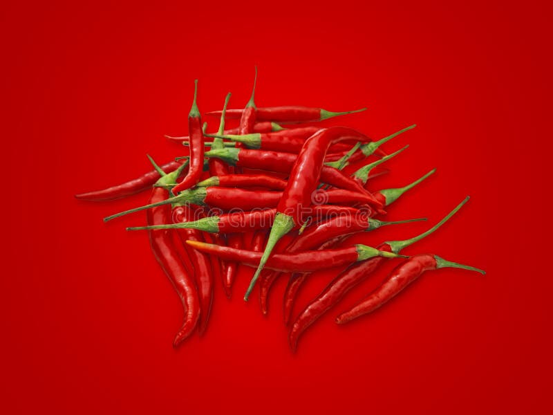 Fresh Red Chilli on Red Background Stock Photo - Image of culture ...