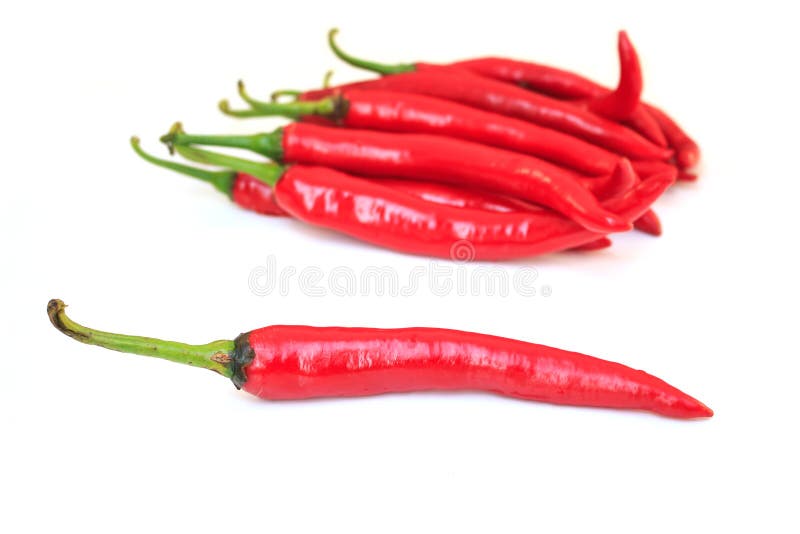 Fresh Red Chilli on a White Background. Photos with a Top View Stock ...