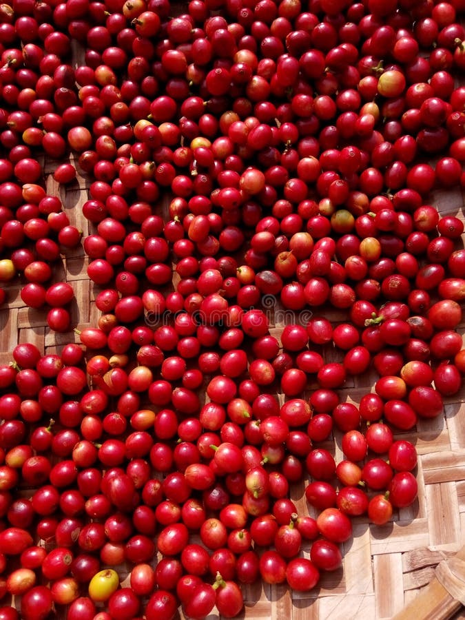 169 Spread Weeks Horizontally Stock Photos - Free & Royalty-Free Stock ...