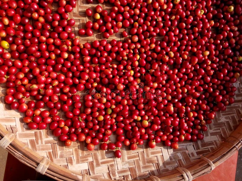 169 Spread Weeks Horizontally Stock Photos - Free & Royalty-Free Stock ...