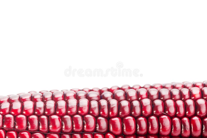 Red Color Corn Isolated on White Background Stock Image - Image of ...