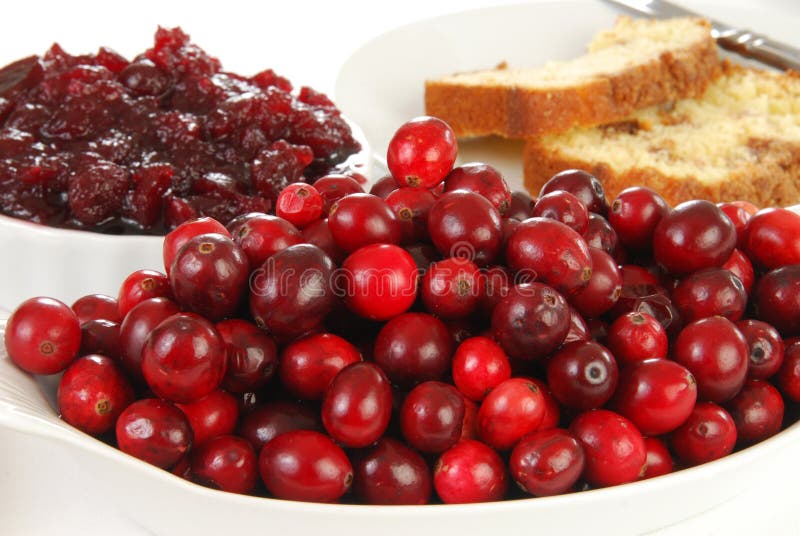 Fresh red cranberries stock image. Image of snack, jelly - 17421275